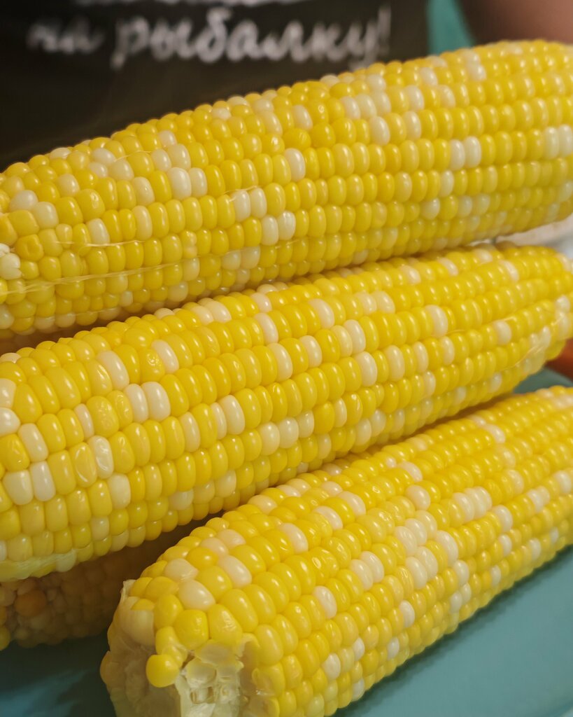 Konuk evi Гостевой дом Море Агой, Krasnodarski krayı, foto