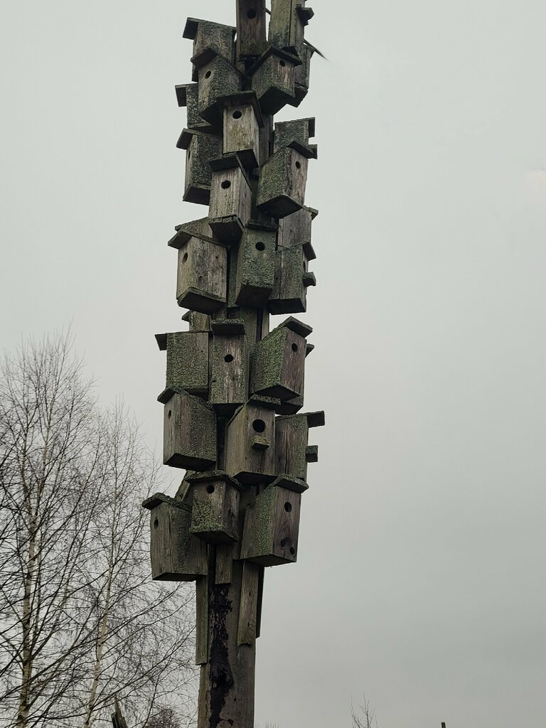 Park, sokak heykeli Дерево скворечников, Moskova ve Moskovskaya oblastı, foto