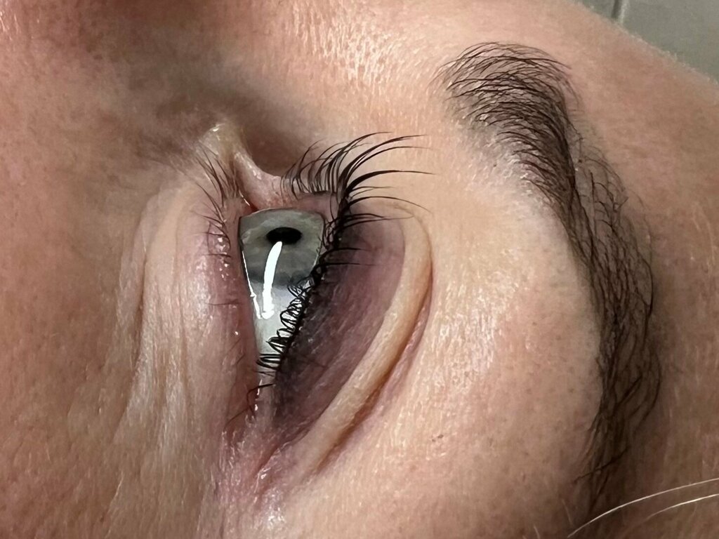 Kaş ve kirpik salonu Lashes•Brows, Vladimir, foto