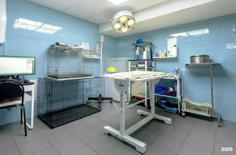 Veteriner eczaneleri Зевс, Losino‑Petrovski, foto