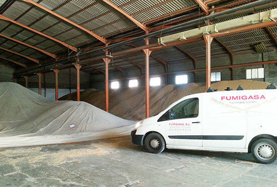 Haşere ilaçlama firmaları Fumigasa - Fumigaciones y Control de Plagas EN Valencia, Valensiya, foto