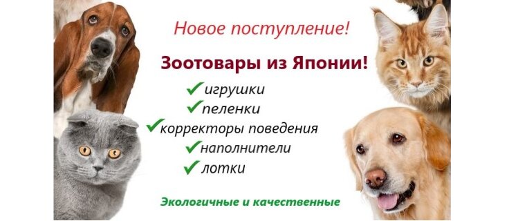 Veteriner eczaneleri Zooapteka V kazhdii dom, Çeliabinsk, foto