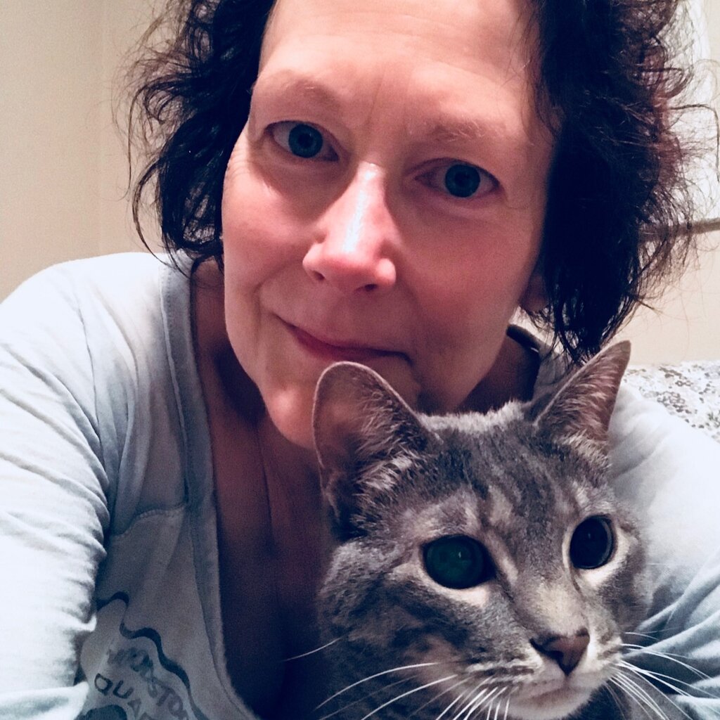 Tıp merkezleri ve klinikler Dr. Deborah Armstrong, İndiana Eyaleti, foto