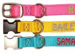 Dog Id Collar (Missouri, Jackson County), petshop  Missouri Eyaleti'nden