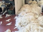 Fratelli Bruschi Bruno e Ezio (Marche, Macerata, Via Giovanni Falcone, 9), yatak üreticileri  Marche'den