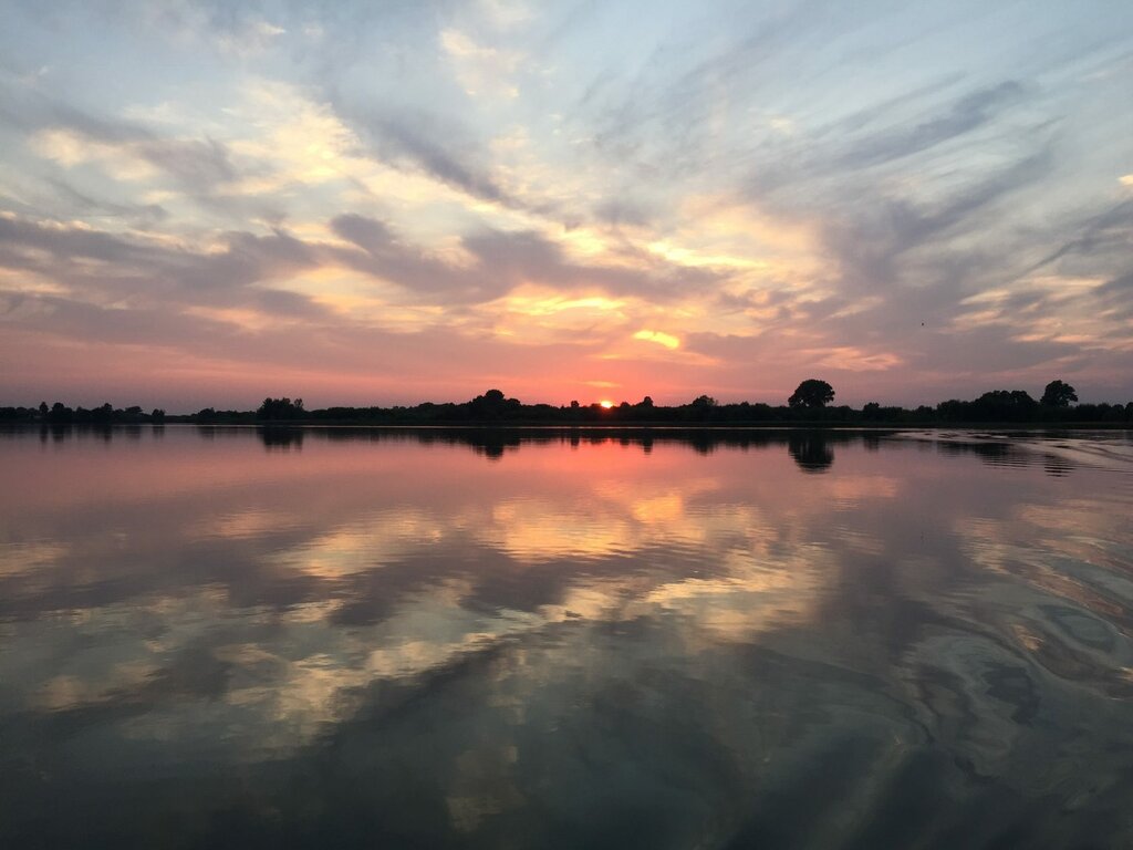 Tarım ürünleri firmaları Live Fish And Fry, Kurskaya oblastı, foto