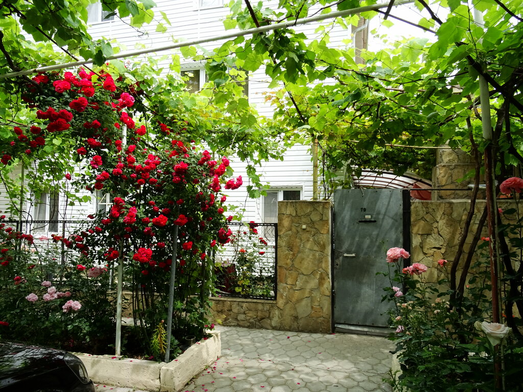 Otel Oriekhovaia Roshchia, Anapa, foto