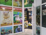 Кошкин дом (ulitsa Kotovskogo No:2А), petshop  Briansk'tan