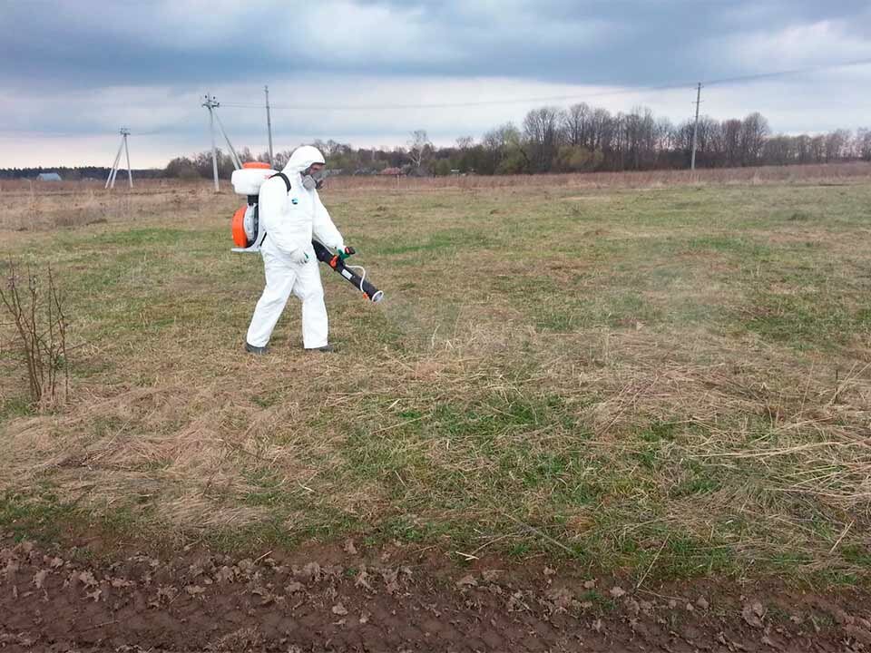 Haşere ilaçlama firmaları Dezinfektsya, Himki, foto