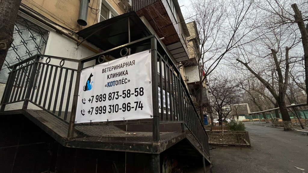 Veteriner klinikleri Kotopes, Makhachkala, foto