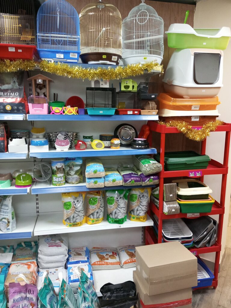 Petshop ZooMarket, Lipetsk, foto