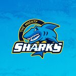 Mighty Sharks (Arsyukova Street No:11), yüzme havuzları  Moskova'dan