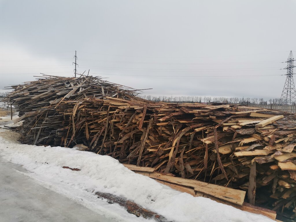Ahşap endüstrisi Pilorama u Shmelya, Saint‑Petersburg ve Leningradskaya oblastı, foto