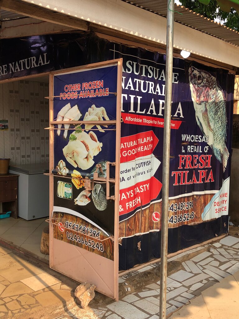 Soğuk hava tesisi Asutsuare natural tilapia, Dünya, foto