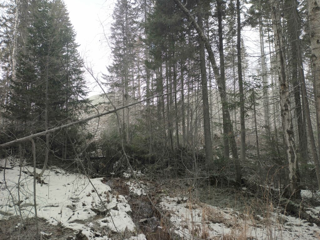 Dağ zirvesi Груберские горы, Sverdlovskaya oblastı, foto