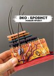 Brovolog (Zelenogradskaya Street No:33к7), kaş ve kirpik salonu  Moskova'dan