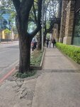 Fontabella (Region Metropolitana, Guatemala, Zona 10, 13 Calle, 4-29), turistik yerler  Guatemala'dan