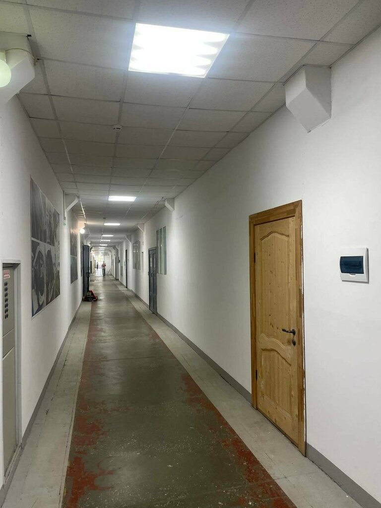 Profesyonel fotoğraf stüdyosu William thomson, Tomsk, foto