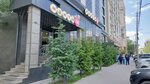 Savanna (Toktogul Street No:112/1), kafe  Bişkek'ten