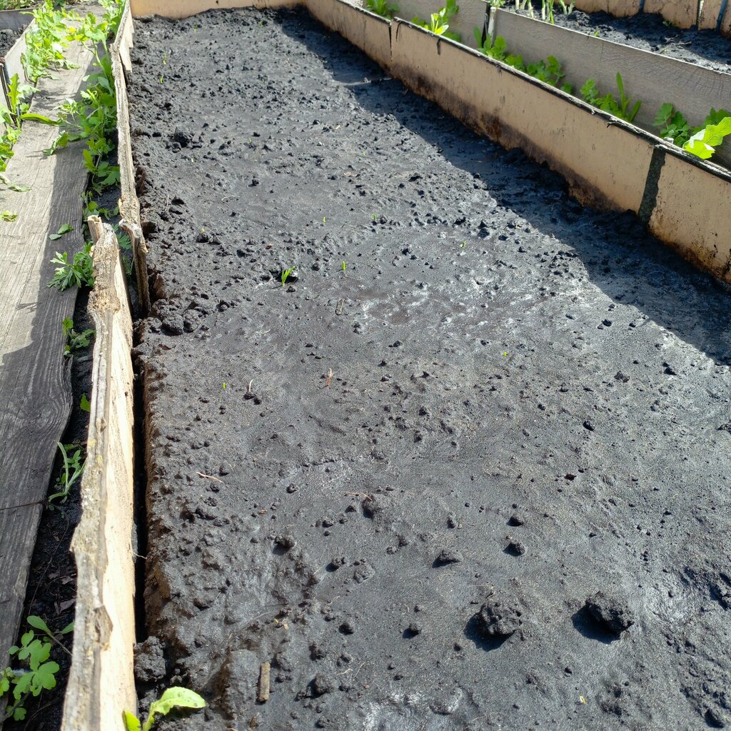 Hastane bölümü Rodilny Dom, Sortavala, foto