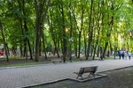 Tsentralny park (bulvar Gagarina No:28с3), kafe  Briansk'tan
