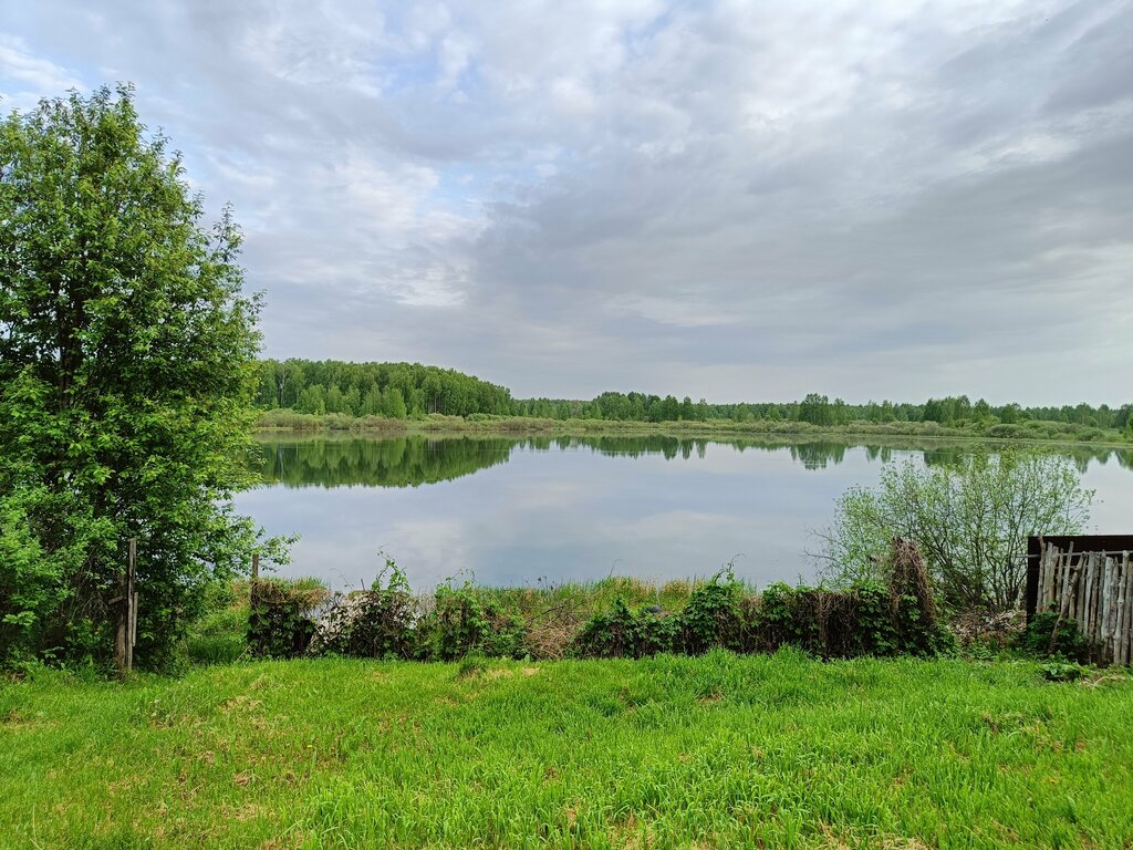 Doğa koruma alanı государственный природный заказник федерального значения Муромский, Vladimirskaya oblastı, foto