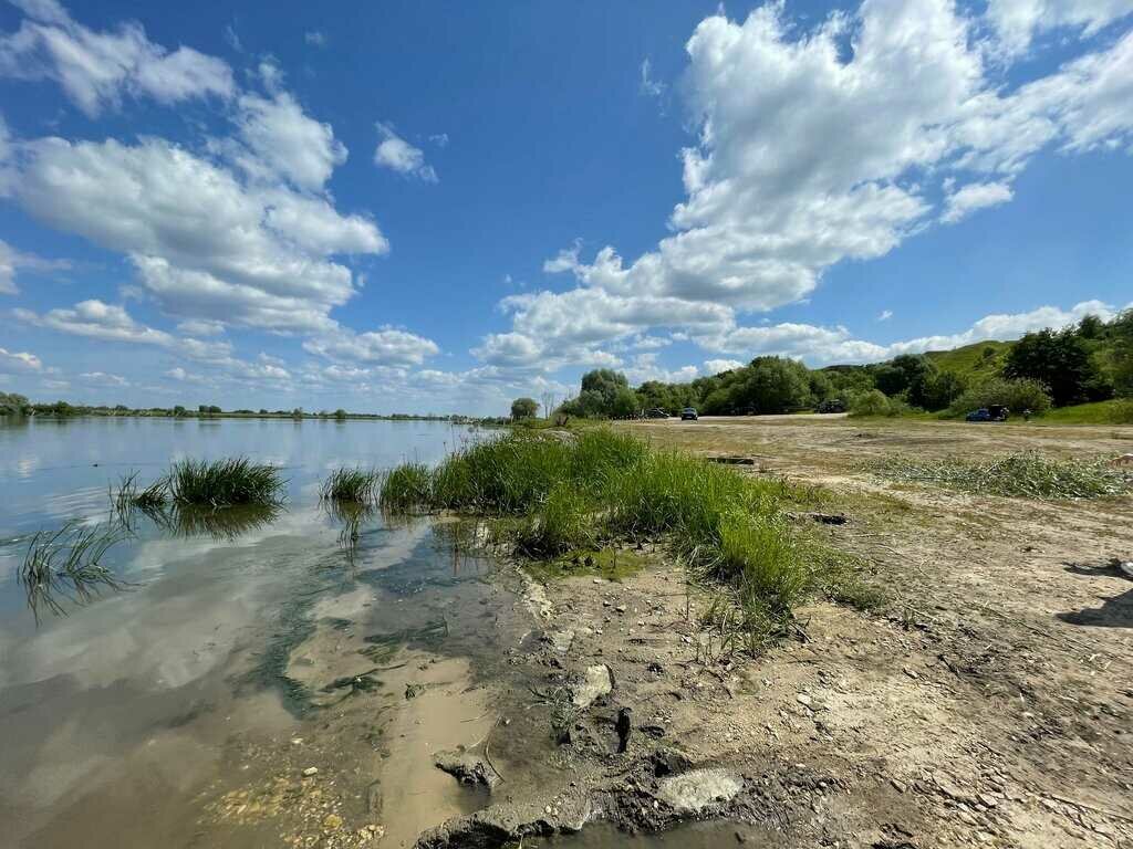 Plaj Пляж, Riazanskaya oblastı, foto