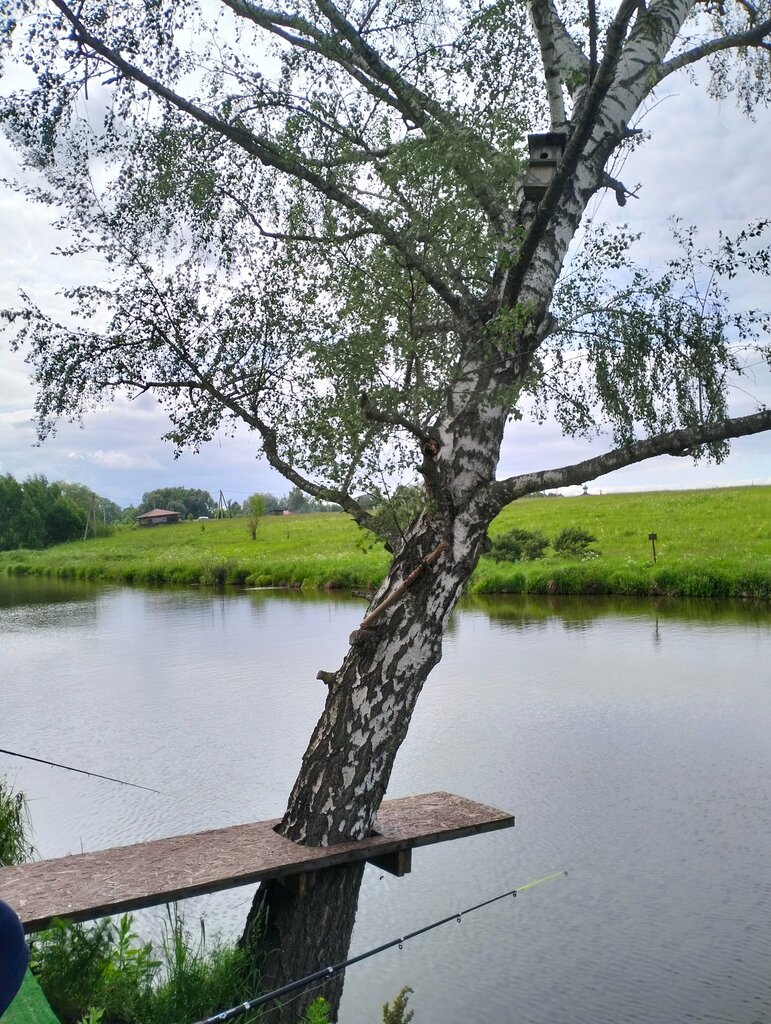 Resort oteller, tesisler Йога-хутор Котара, Tulskaya oblastı, foto