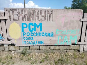 Sokak sanatı Страницы истории России глазами студентов САТ, Surovikino, foto