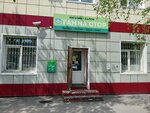 Gamma-Stor (Berdskaya Street No:20, district Cheremoshniki), tek kullanımlık mutfak gereçleri  Tomsk'tan