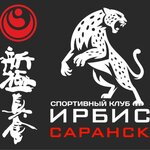 Ирбис (Kosareva Street No:19Б), spor kulüpleri  Saransk'tan