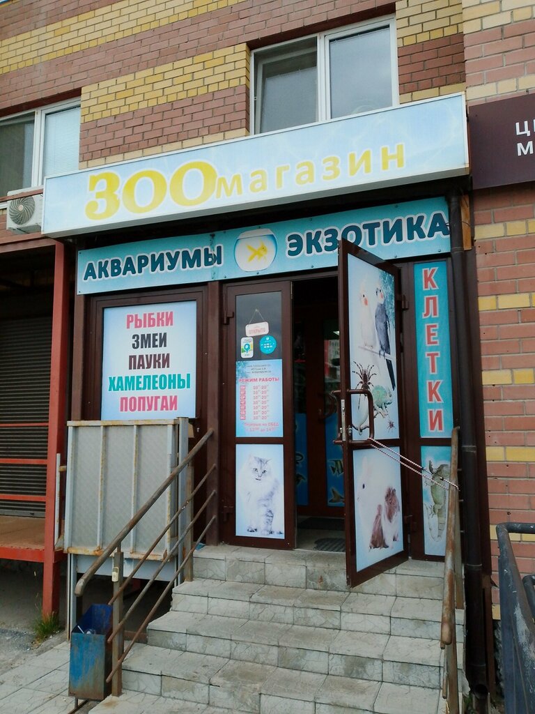 Petshop Аквариумы и экзотика, Tiumen, foto