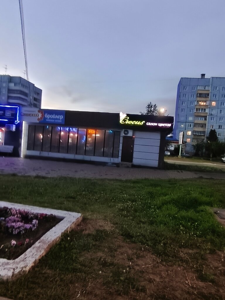 Fast food On Skewers, Bratsk, foto