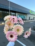 Amore Flowers (Maskoŭskaja vulica No:84), çiçekçiler  Stariye Dorogi'den