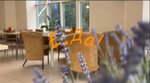 E. da! (Grazhdanskiy Avenue No:52А), kafe  Belgorod'dan