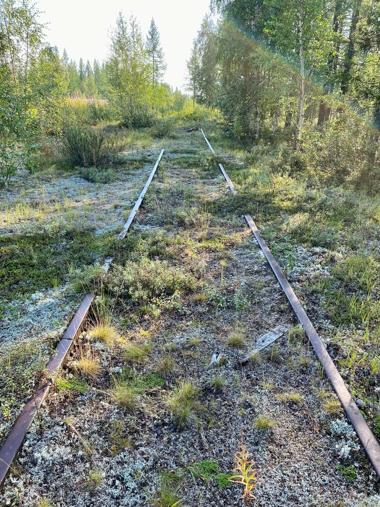Turistik yerler Локомотивное депо и разворотный треугольник Сталинской стройки № 501, Yamal‑Nenets Özerk Bölgesi, foto