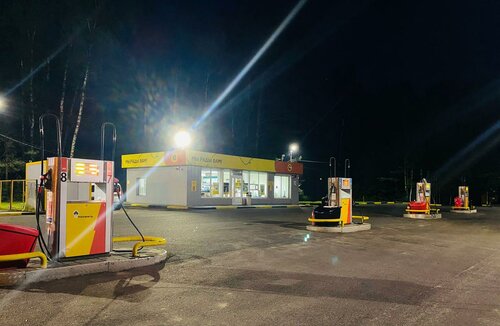 Benzin istasyonu Rosneft', Brianskaya oblastı, foto
