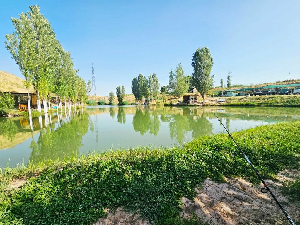 Balık çiftçiliği ve toptancıları Kibray's Clear Ponds, Taşkent eyaleti, foto
