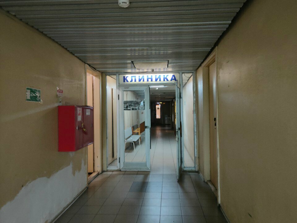 Veteriner klinikleri Ветеринарная клиника для мелких домашних животных, Novosibirskaya oblastı, foto