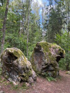 Геологический памятник природы республиканского значения Валун Расколотый камень (Grodzienskaja Region, Slonimski District, Respublikanskiy biologicheskiy zakaznik Slonimskiy), doğa  Grodnenskaya oblastından