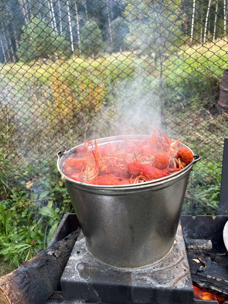 Balık ve deniz ürünleri Crayfish_and_shrimp, Moskova ve Moskovskaya oblastı, foto