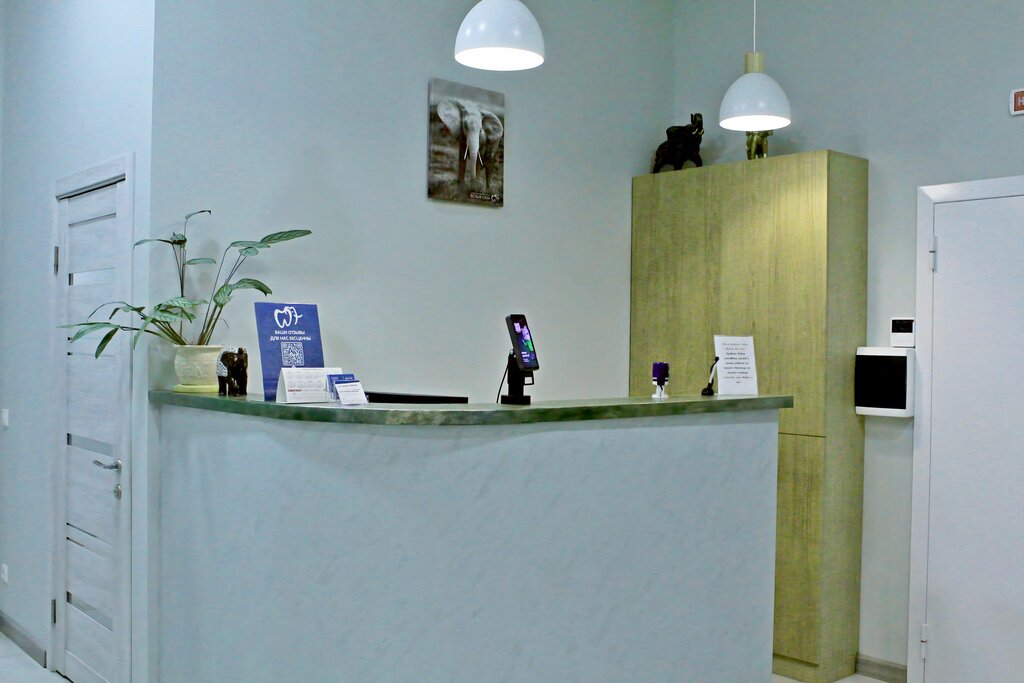 Özel ağız ve diş sağlığı klinikleri ve muayenehaneleri Dentistry White Elephant, Riazan, foto