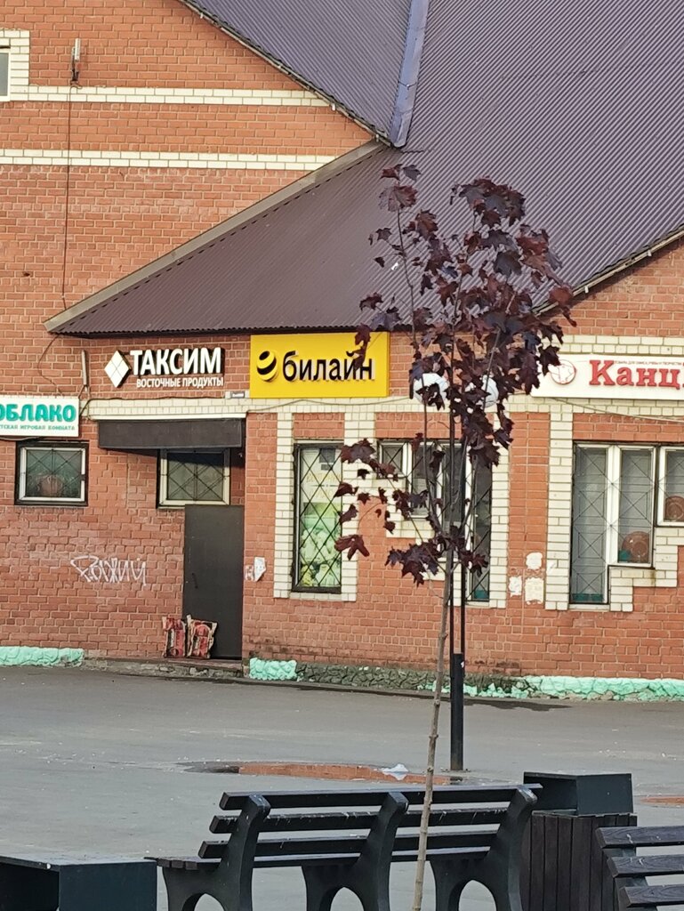 GSM operatörleri билайн, Elektrogorsk, foto