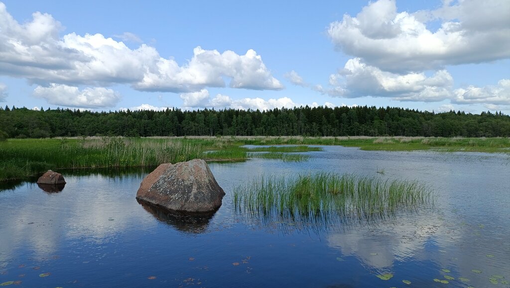 Turistik yerler Развалины финского моста, Saint‑Petersburg ve Leningradskaya oblastı, foto