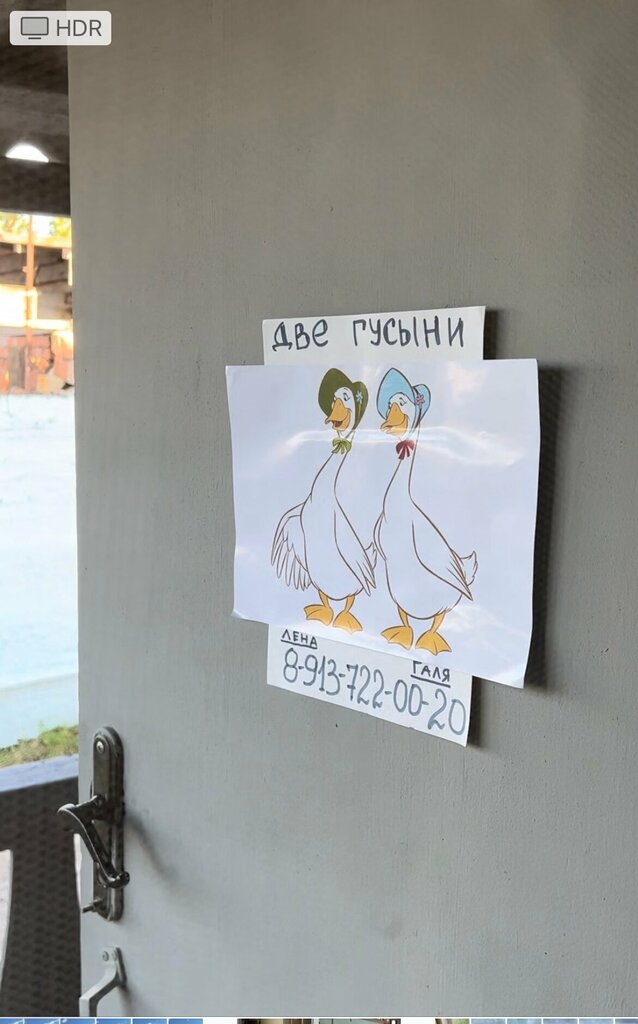 Konuk evi Две гусыни, Hakasya, foto