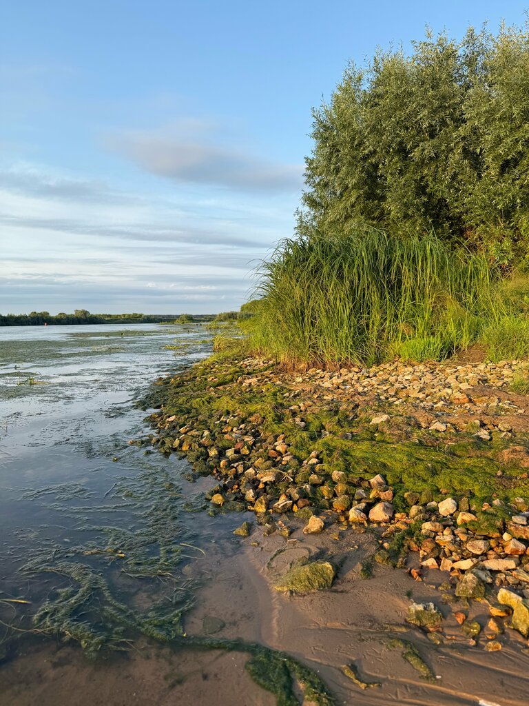 Plaj Beach, Riazanskaya oblastı, foto