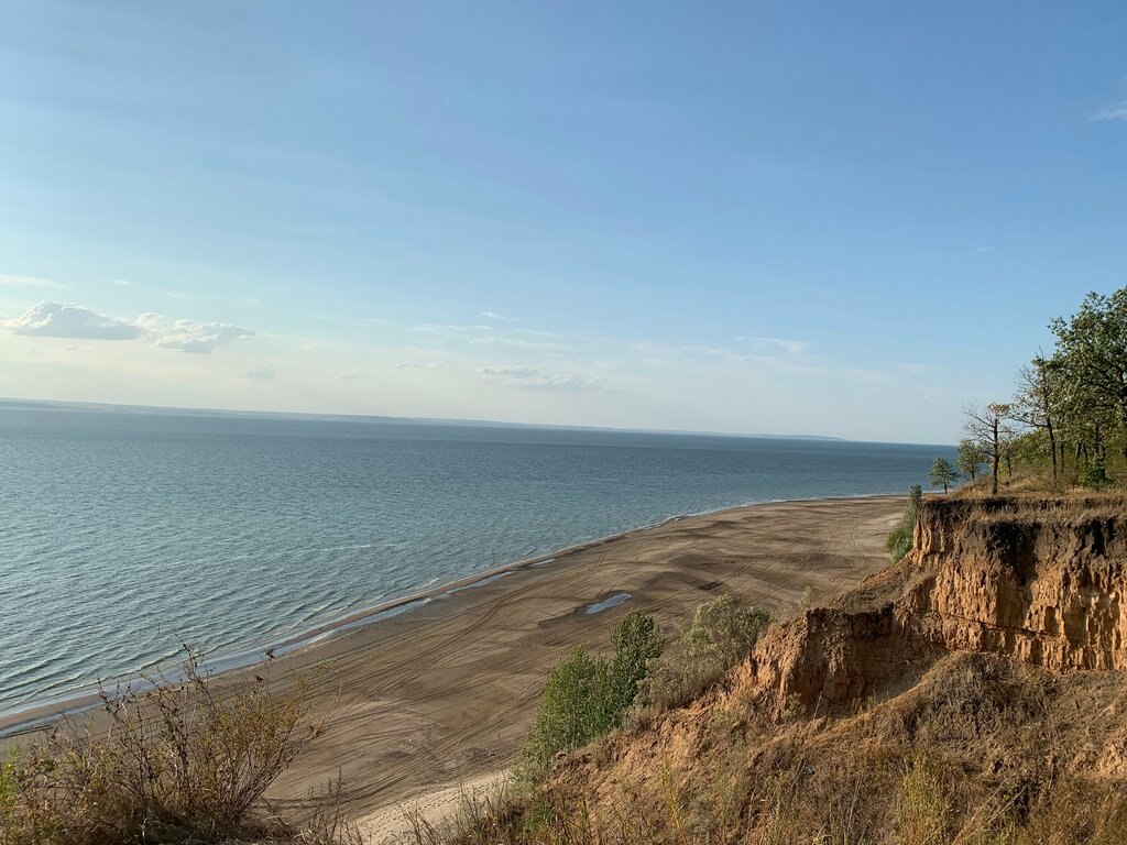 Orman Ягодинский лес, Samarskaya oblastı, foto