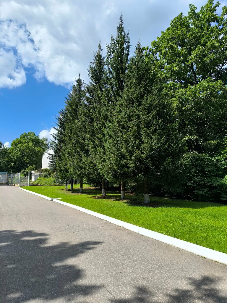 Termal otel Санаторий Звенигородский МО РФ, спальный корпус № 1, Zvenigorod, foto