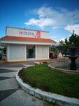 Pharmacy Pv (Jalisco), eczaneler  Jalisco Eyaleti'nden