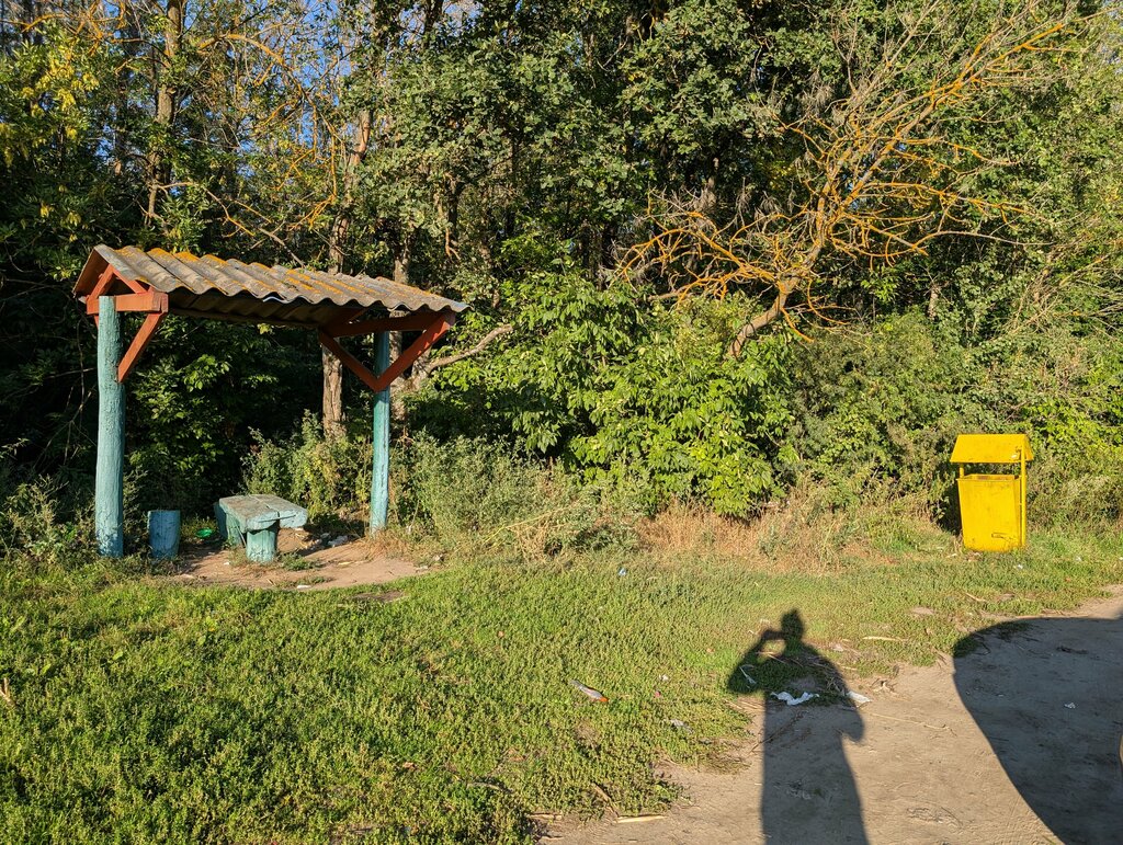 Piknik alanı Place for picnic, Penzenskaya oblastı, foto